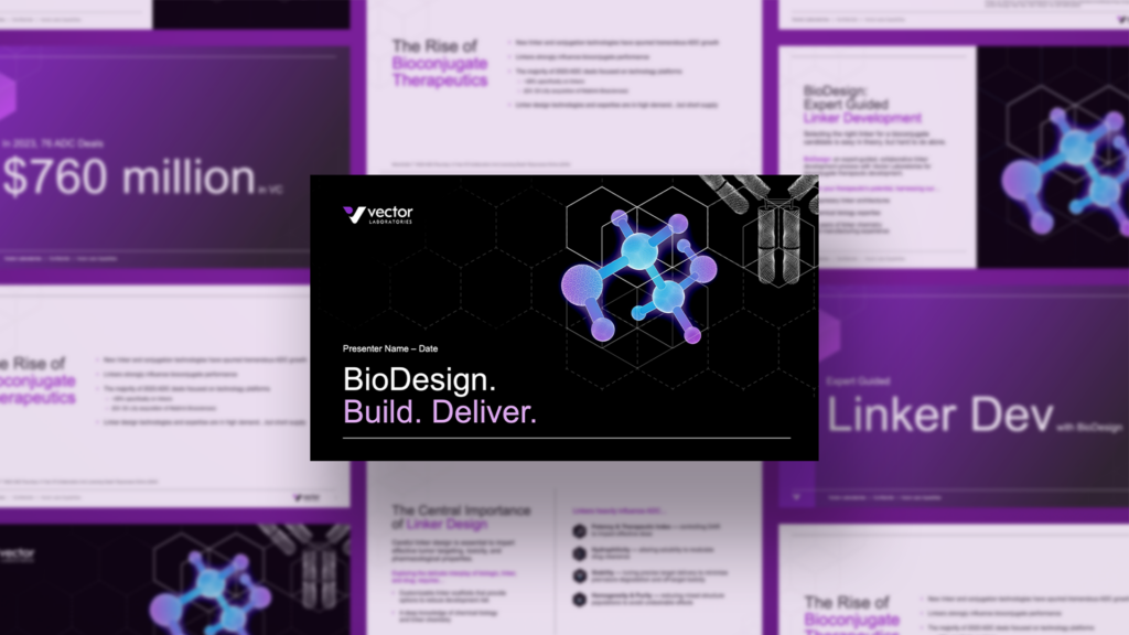 Pioneering BioDesign: How Vector Laboratories repositioned for the ...